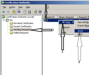 How to Sign Certificate using Microsoft Certificate Authority (CA) in ...